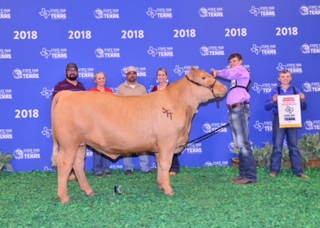 Runge ISD - Justin Martin Wins Reserve Champion